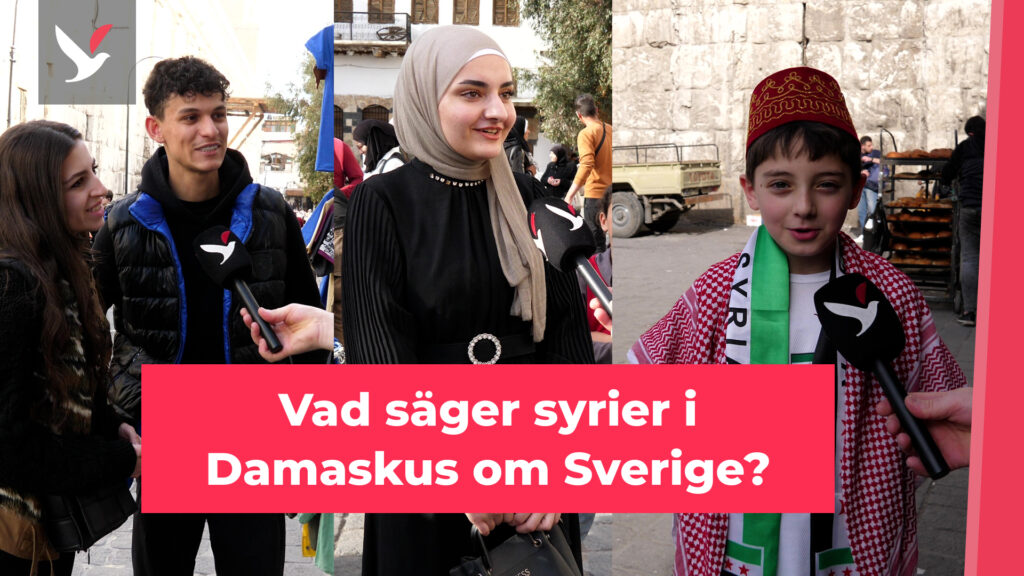 Vad säger syrier i Damaskus om Sverige? | Alkompis - Artiklar på svenska